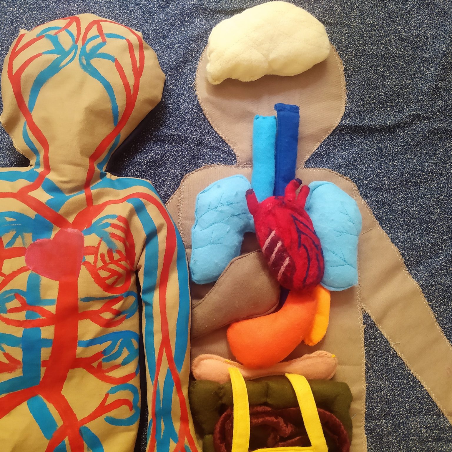 MEIN KÖRPER – Projekt-Koffer